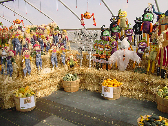 Stakey's Pumpkin Farm Photo Gallery