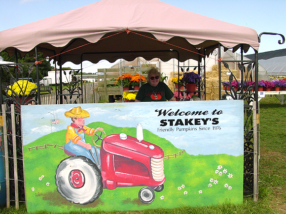 Stakey's Pumpkin Farm Photo Gallery